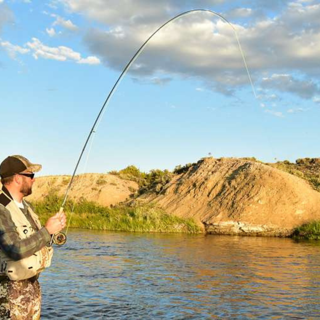 Legendary Bamboo Fly Rods, Deluxe Series (Two Tips)