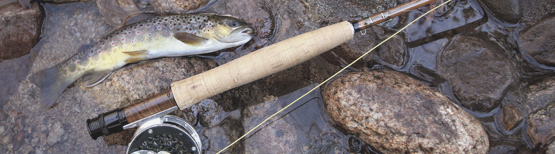 Frequently Asked Questions - Headwaters Bamboo