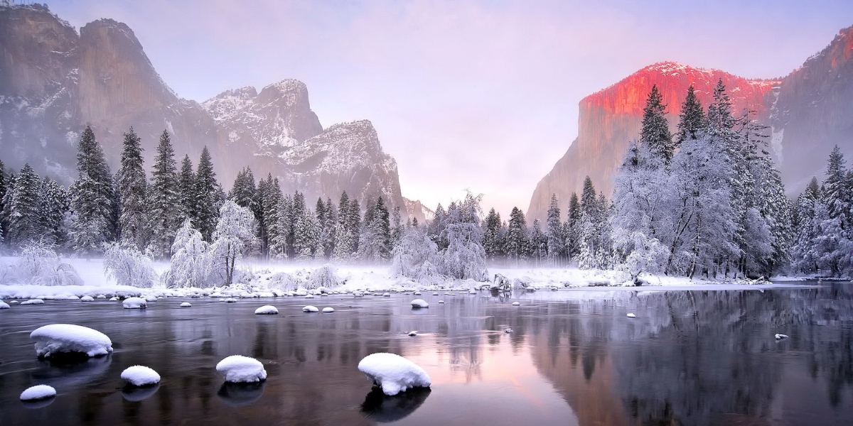 Headwaters Bamboo Fly Rods